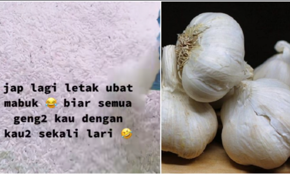 Tips Guna Bawang Putih Untuk Hapuskan Kutu Beras, Confirm Menjadi ...