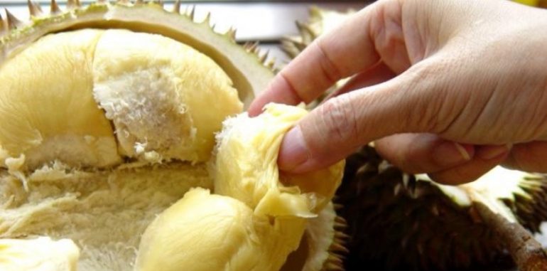 Khasiat Buah Durian Memang Banyak Tapi Kena Hati-hati | Kool 101