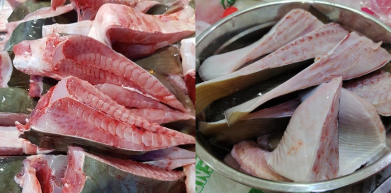Pilih Jenis Ikan Pari Yang Fresh Guna Petua Ini, Puas Hati! | Kool 101