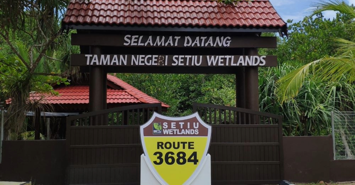 Straits bakal pulihkan kawasan hutan di Taman Negeri Setiu Wetlands ...