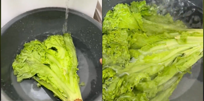 Sayur Layu Kembali Segar Kalau Buat Teknik Ini | Kool 101