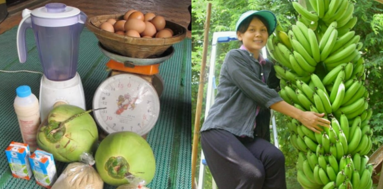 Petani Thailand Kongsi Tips Pokok Berbuah Lebat & Subur | Kool 101